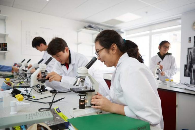 What A-Level subjects go well together? 10 great combinations you could ...