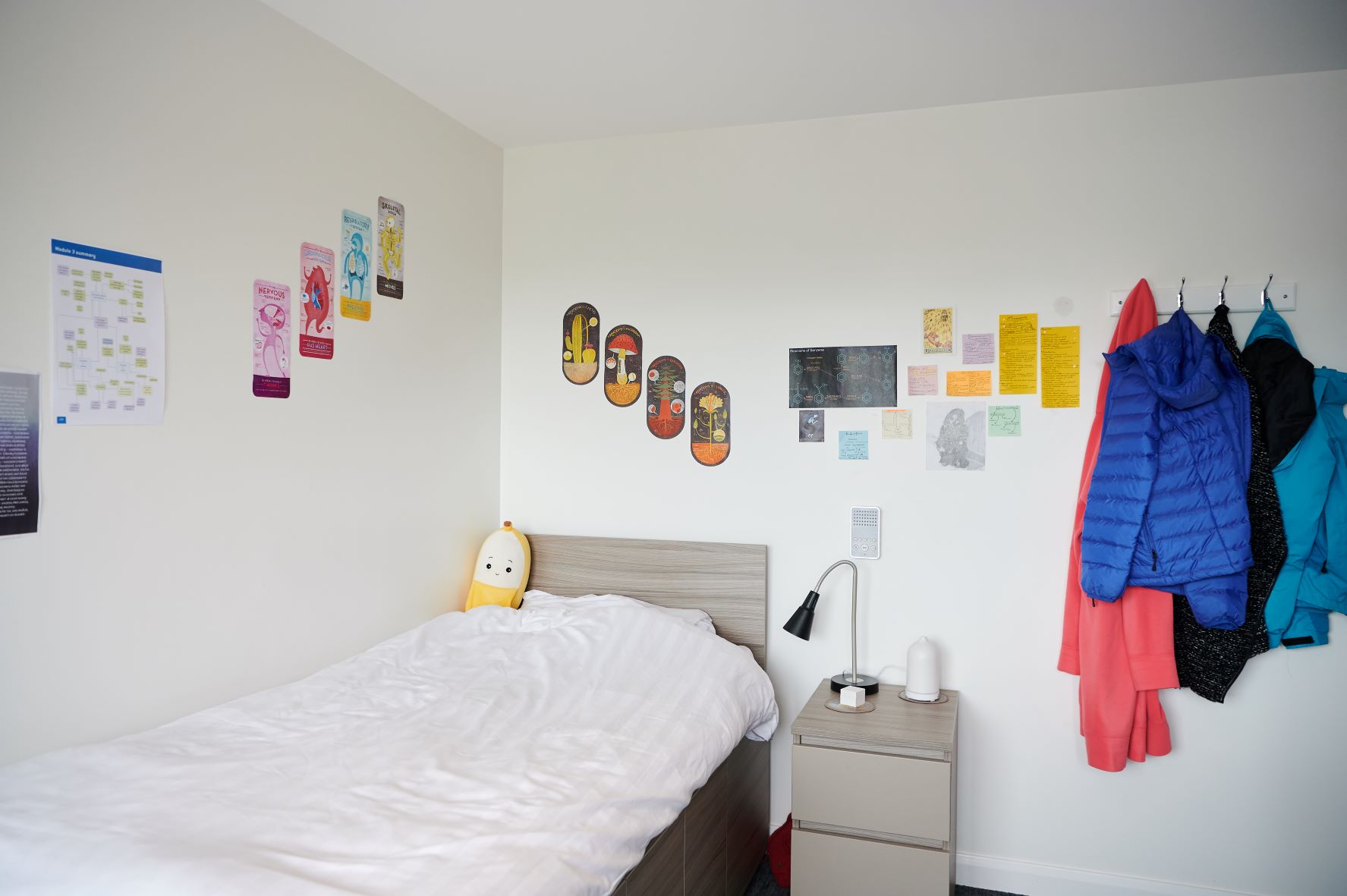 Accommodation | GCSEs & A Levels, Cambridge | Abbey Cambridge